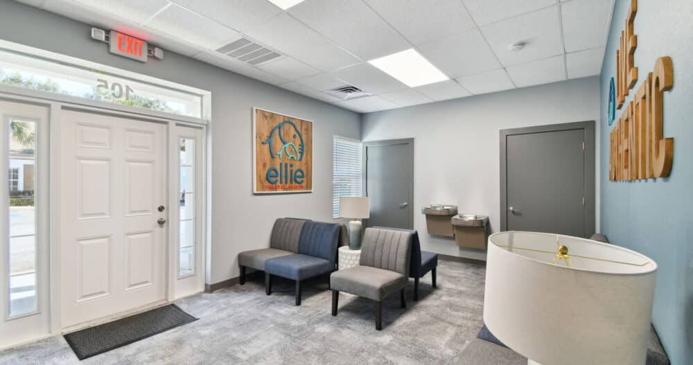 Brandon, FL Mental Health Clinic | Ellie Mental Health