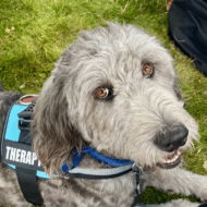 Coeur d'Alene, ID Mental Health Clinic | Ellie Mental Health